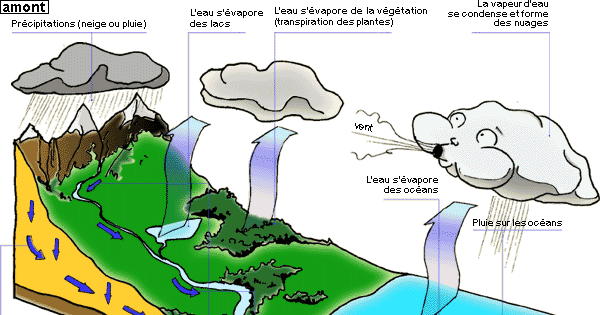 Le cycle de l’eau - Educonline