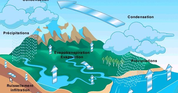 Le cycle de l’eau - Educonline